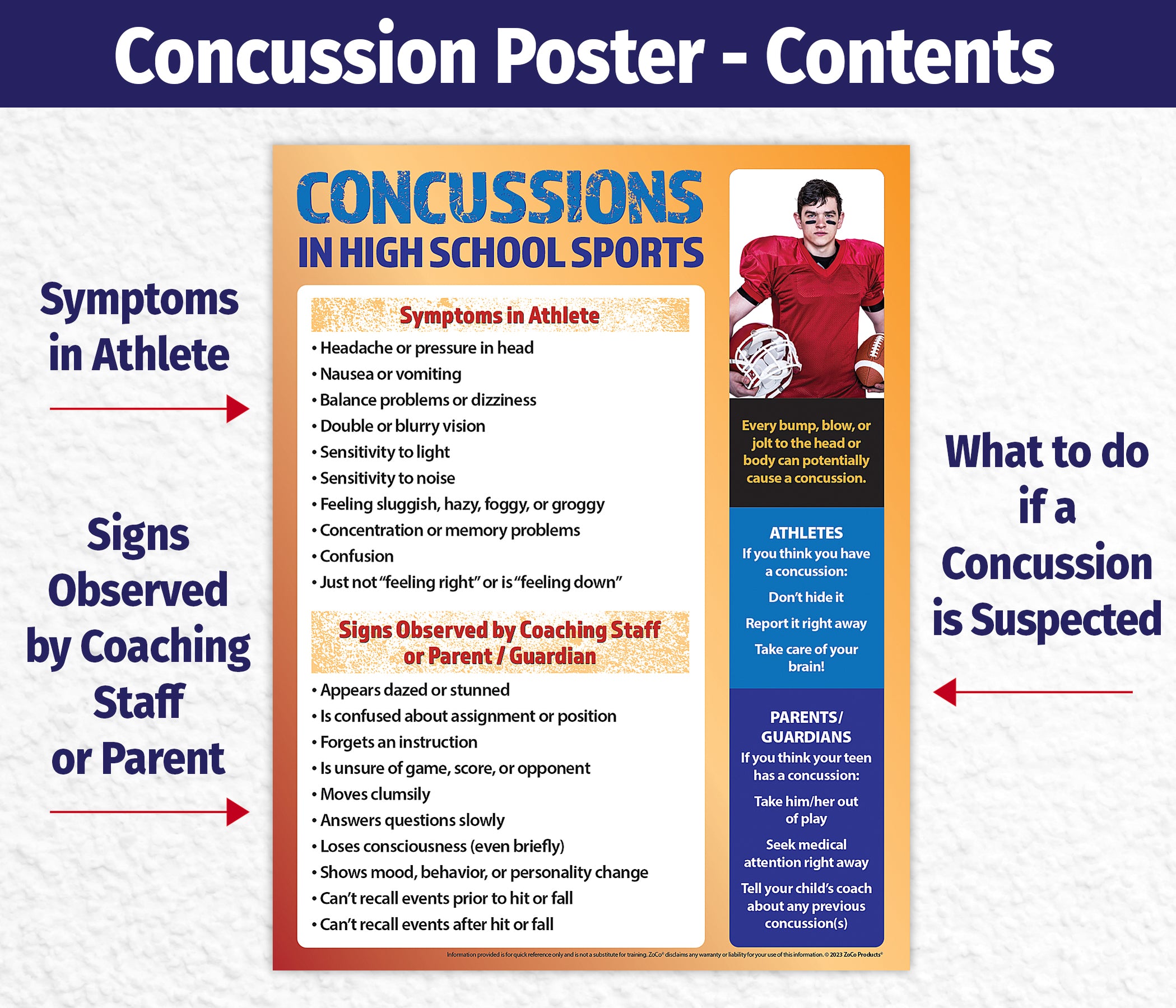 Signs and Symptoms of Concussion in Teen Athletes - Laminated — ZoCo ...