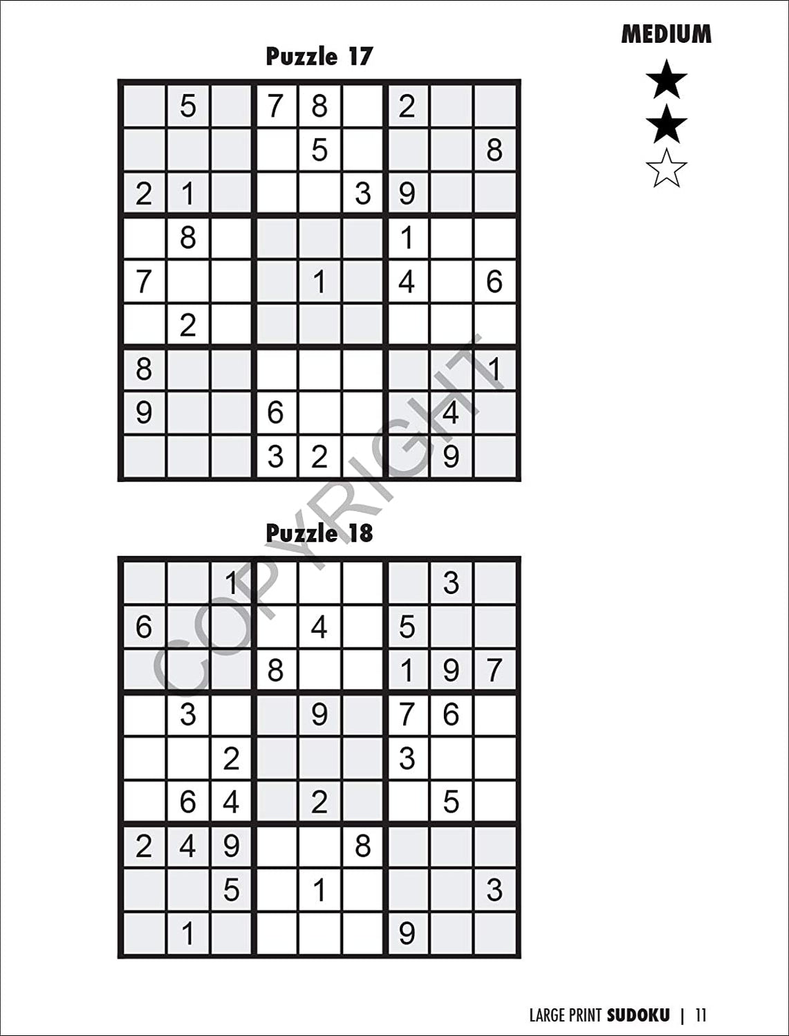 Large Print Sudoku Puzzle Books in Bulk - Add Your Imprint — ZoCo Products