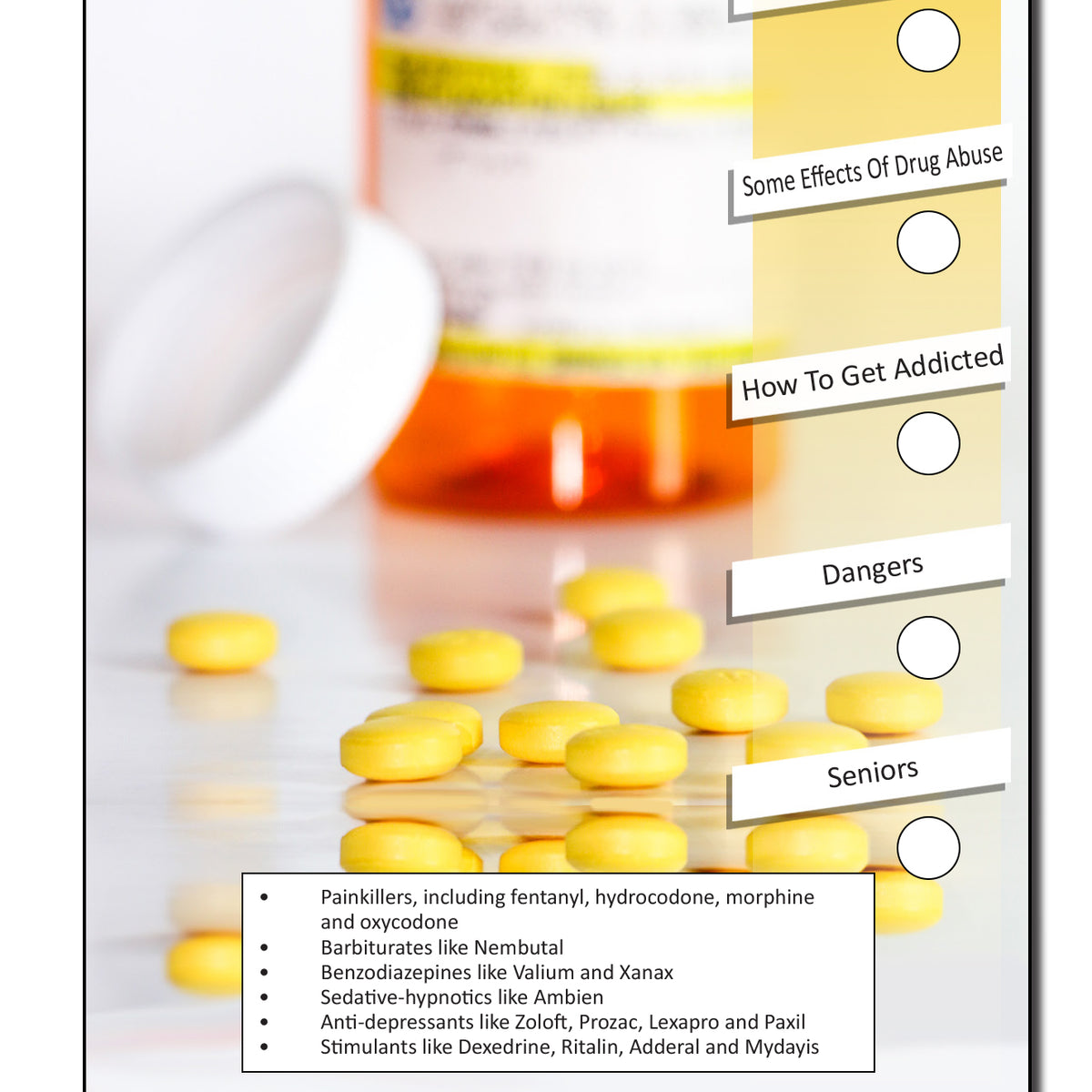 Prescription Drug Abuse Slide Charts - Add Your Imprint on 250+ — ZoCo ...