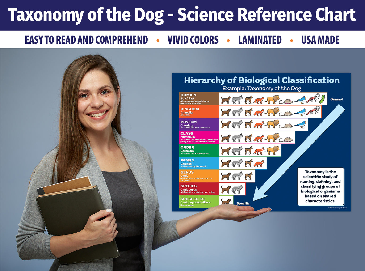 Science Posters - Taxonomy of the Dog - 17"x22" - Laminated — ZoCo Products